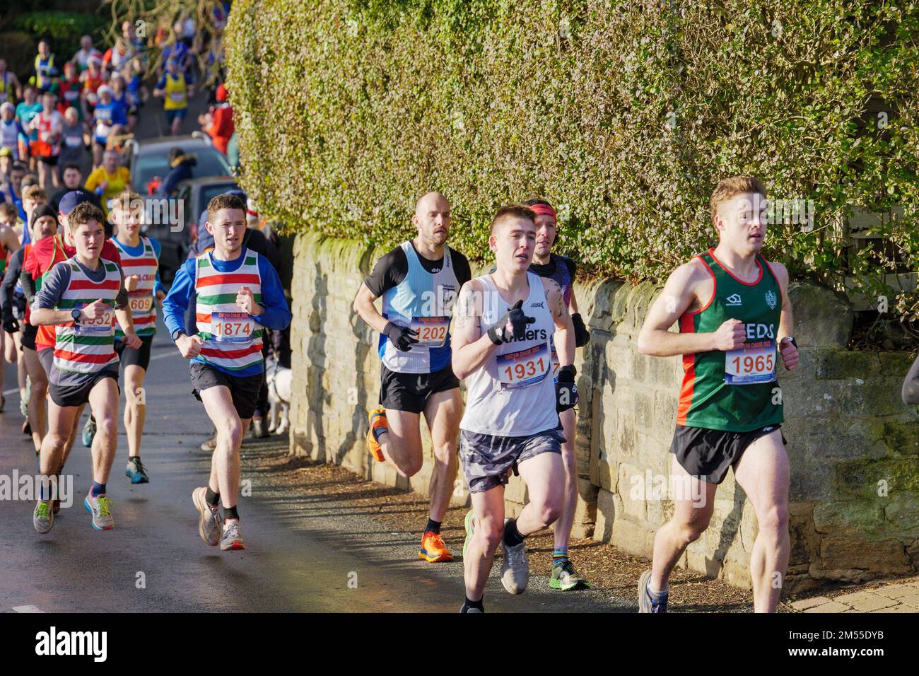 Chevin chasse 2022 Banque de photographies et d’images à haute ...