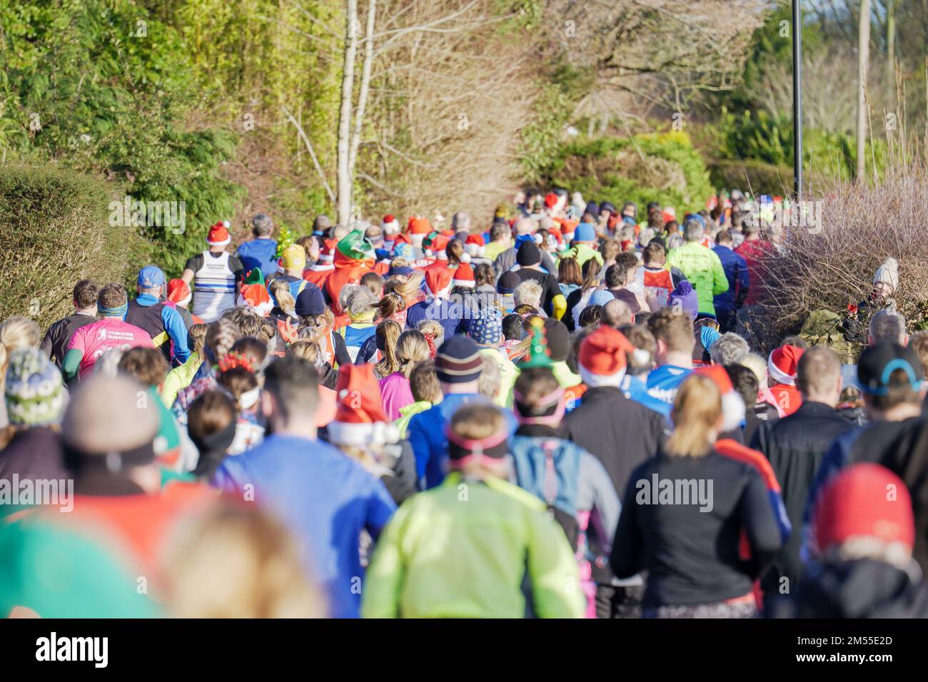 Chevin chasse 2022 Banque de photographies et d’images à haute ...