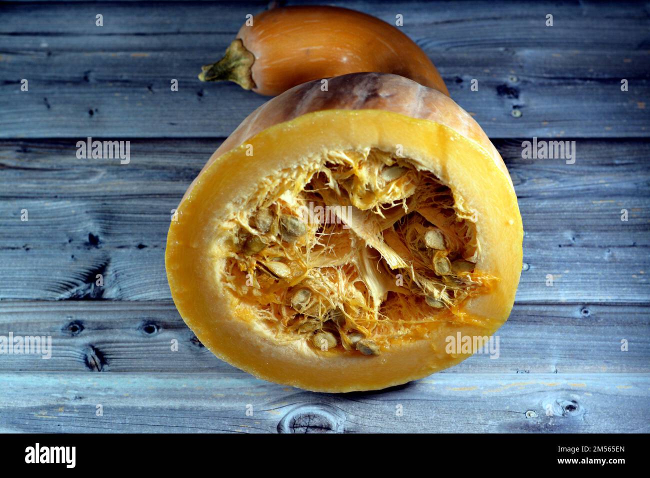Courge, citrouille ou gourde, Cucurbita est un genre de fruits herbacés ...