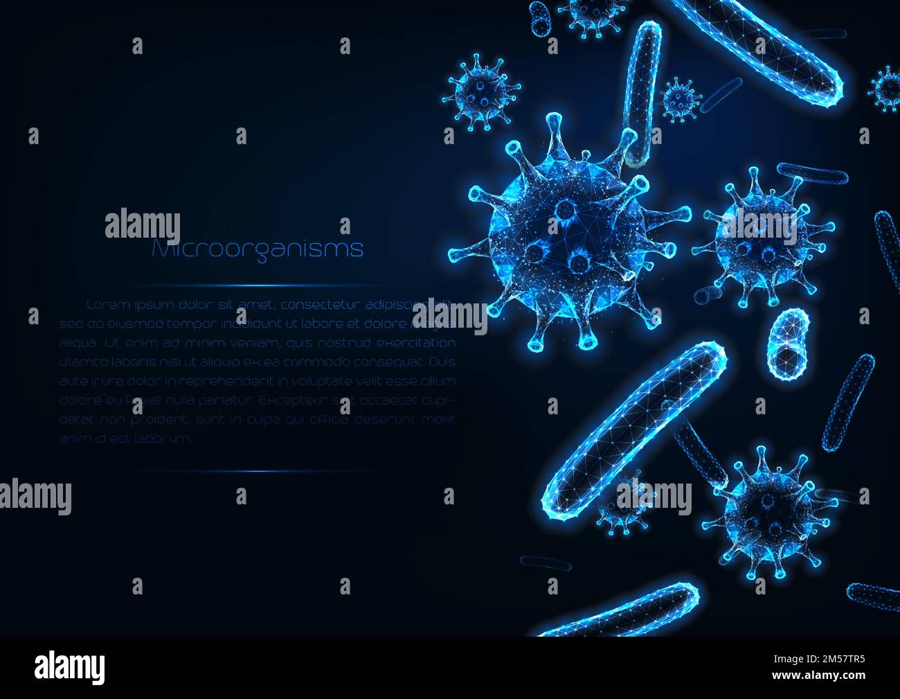 Estructura de la célula bacteriana Banque d'images vectorielles - Alamy