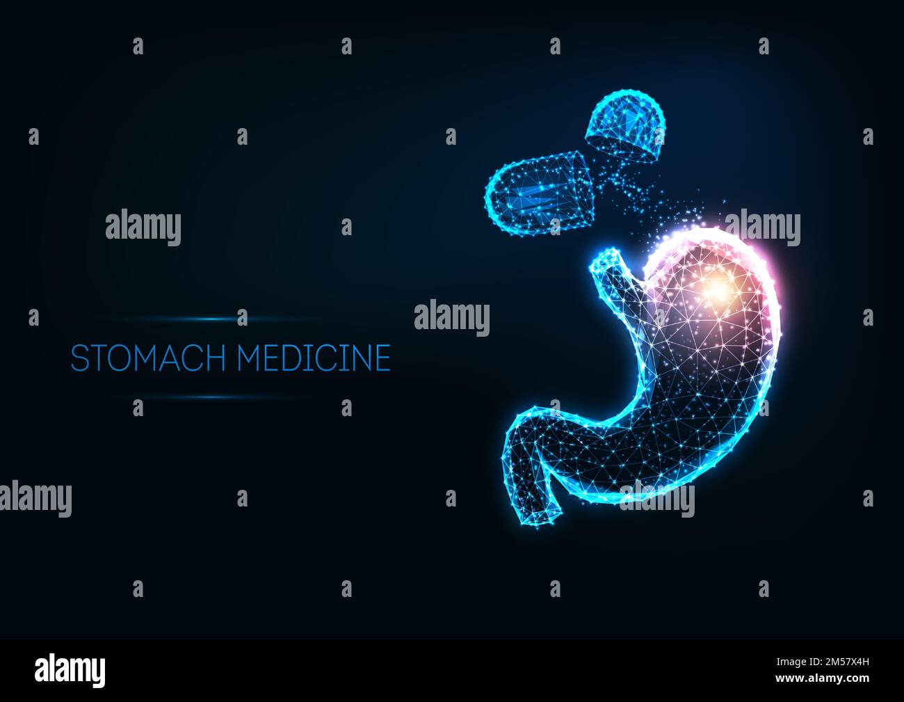 Estomac anatomie 3d Banque d'images vectorielles - Alamy