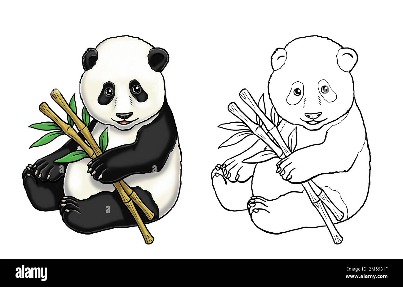 Joli panda géant à colorier. Modèle pour un livre de coloriage avec des ...