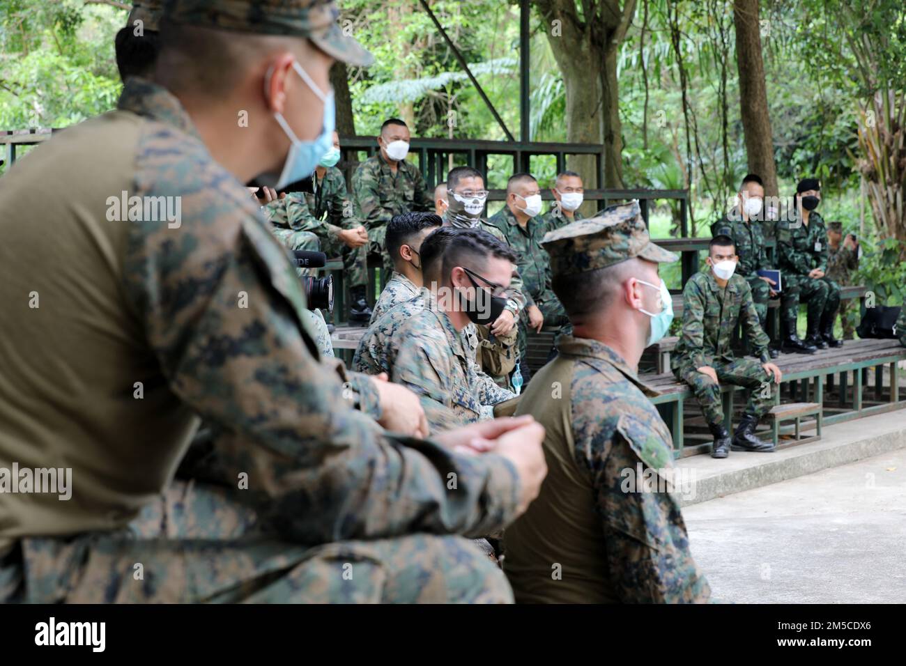 ÉTATS-UNIS Les Marines du 3rd Bataillon d'assaut des amphibiens, 1st Division Marine, et les ...