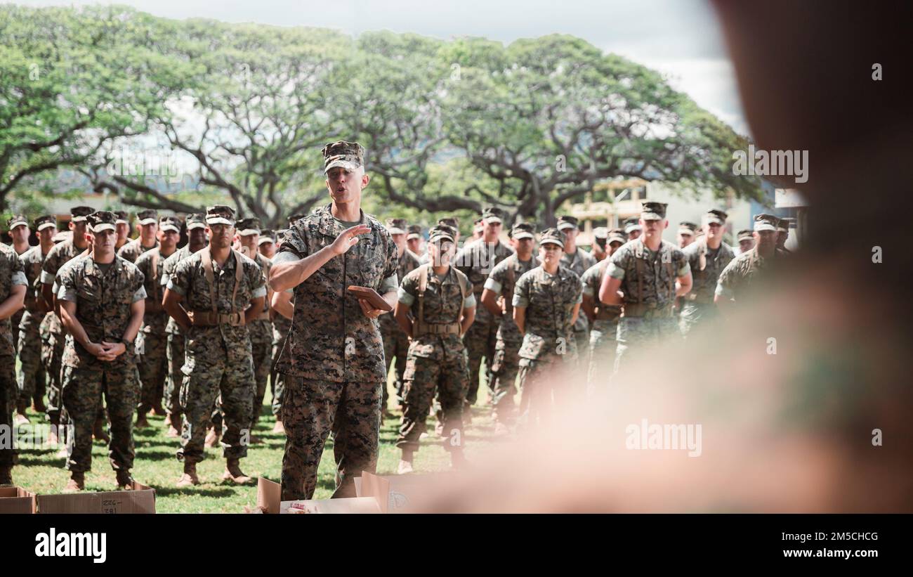 ÉTATS-UNIS Le colonel Timothy S. Brady Jr, commandant du 3D Marine ...