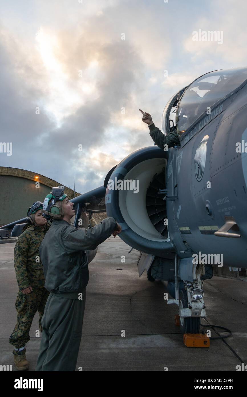 ÉTATS-UNIS Les Marines, avec l'escadron d'attaque maritime (AVM) 223, 2nd, escadre d'aéronef ...