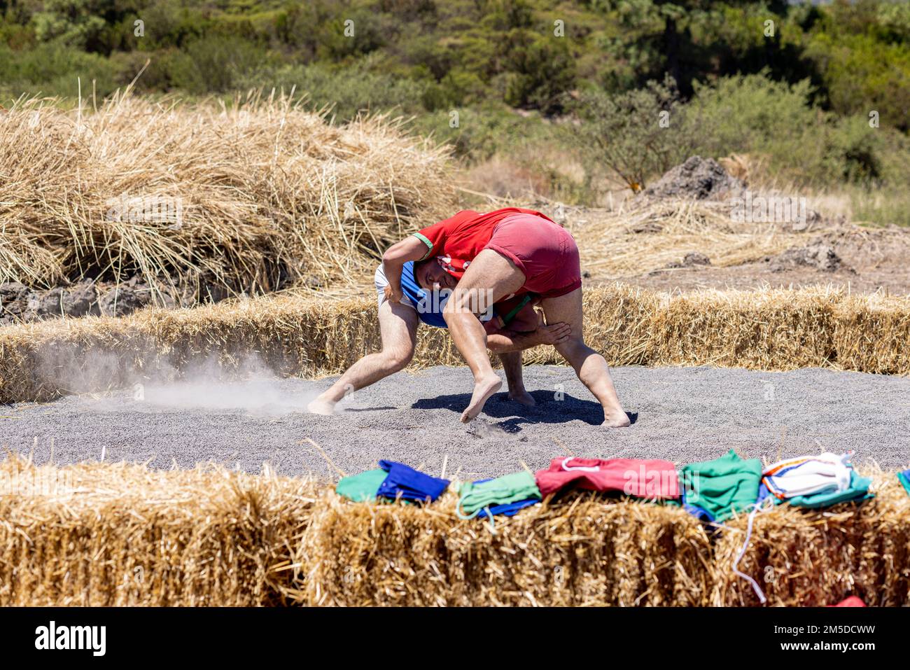 Lutte canarienne, lucha Canaria, exposition au jour du battage, Dia de ...
