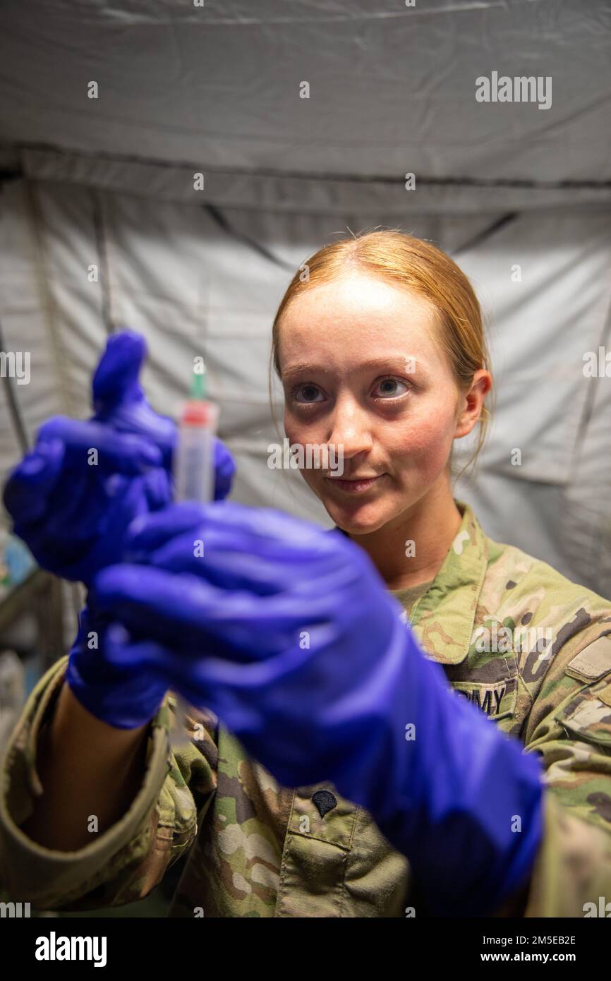 ÉTATS-UNIS Sarah Blevins, medic avec 325th Brigade support Battalion ...