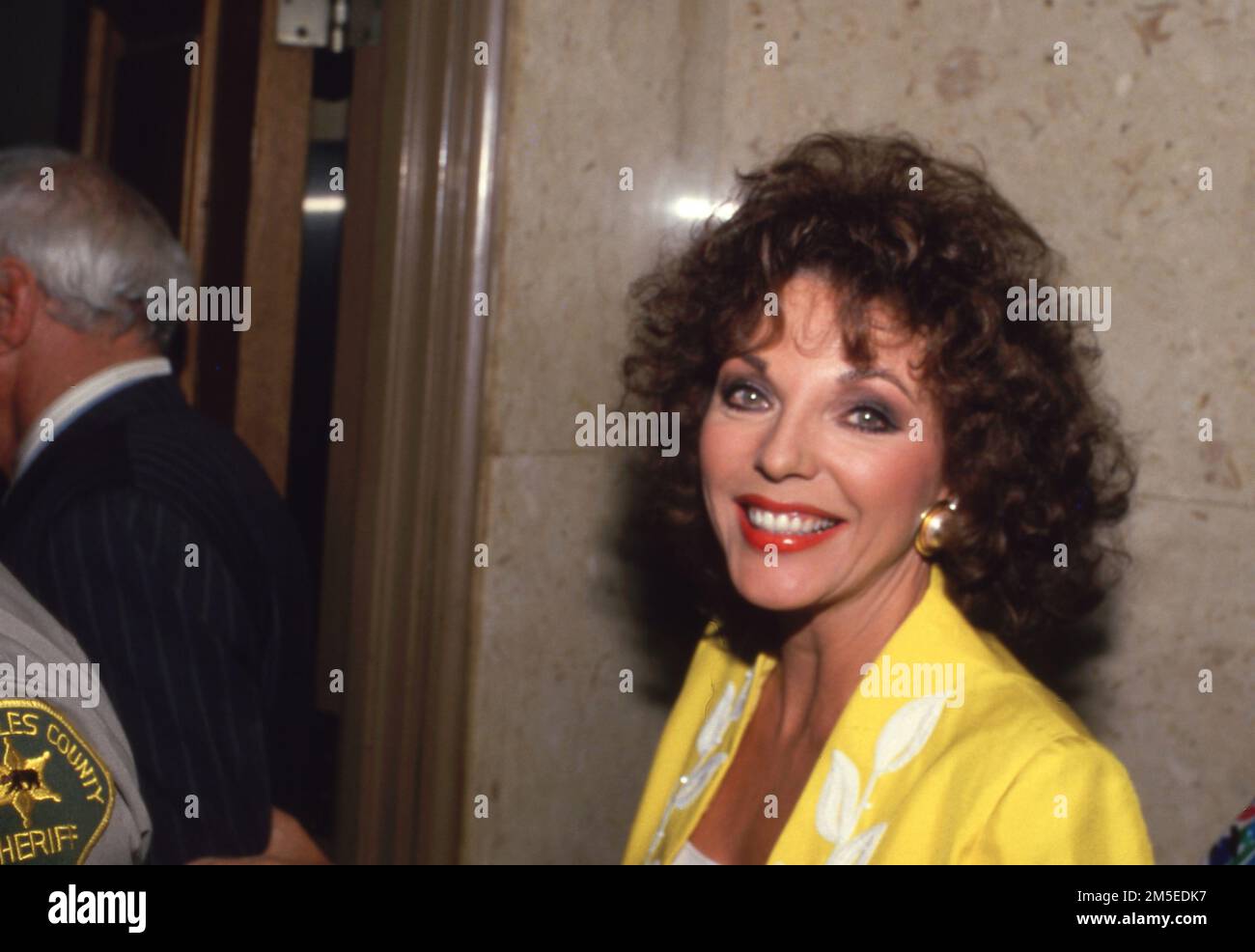 Joan Collins en cour contre l'ancien mari Peter Holm. Holm était limité ...