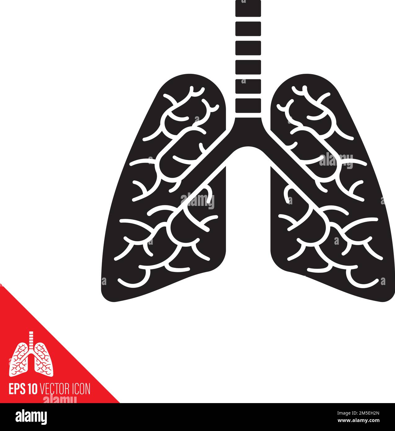 Icône de vecteur des poumons humains. Symbole d'organe interne Image ...