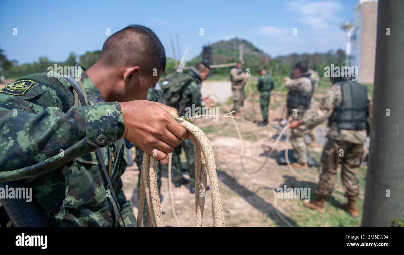 Une équipe conjointe de soldats de la Compagnie Alpha, du 29th Brigade ...