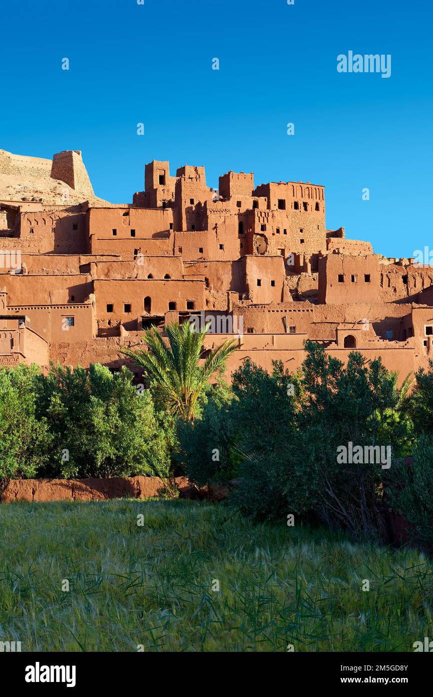 Les bâtiments d'Adobe de la Ksar berbère ou village fortifié d'Ait ...