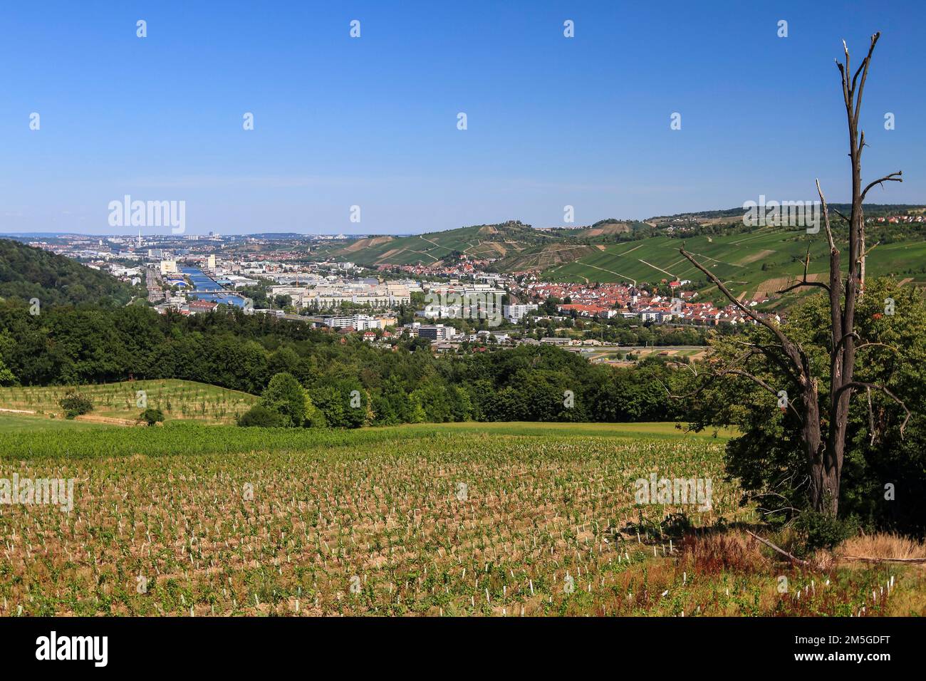 Vue depuis le Ruit Ostfildern de la vallée du Neckar avec le port de ...