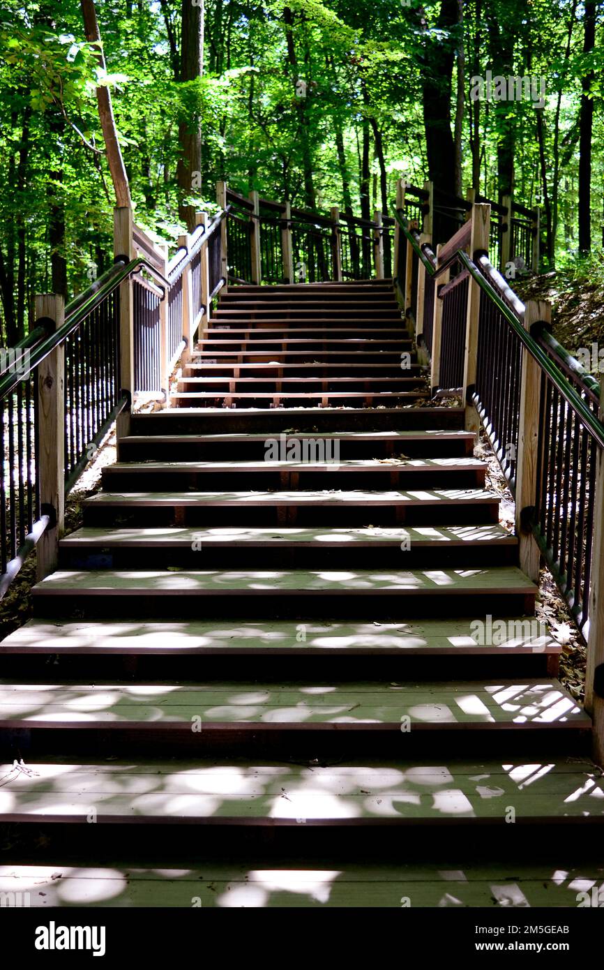 Une verticale d'un escalier en bois, des escaliers traversant un ...