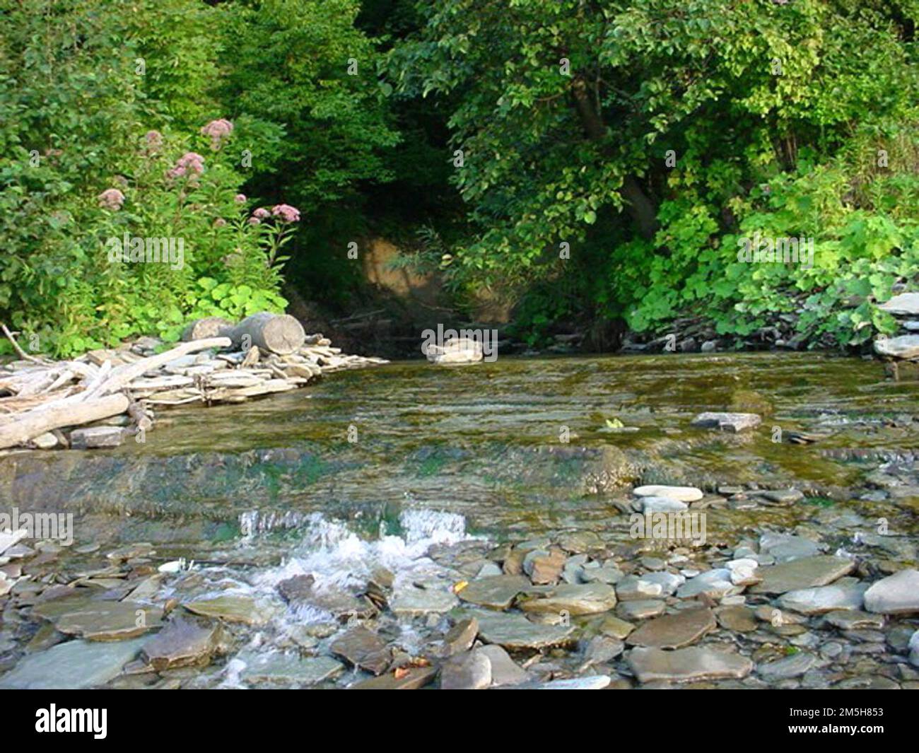 Sentier de la voie maritime des Grands Lacs - Parc d'État d'Erie Bluffs ...