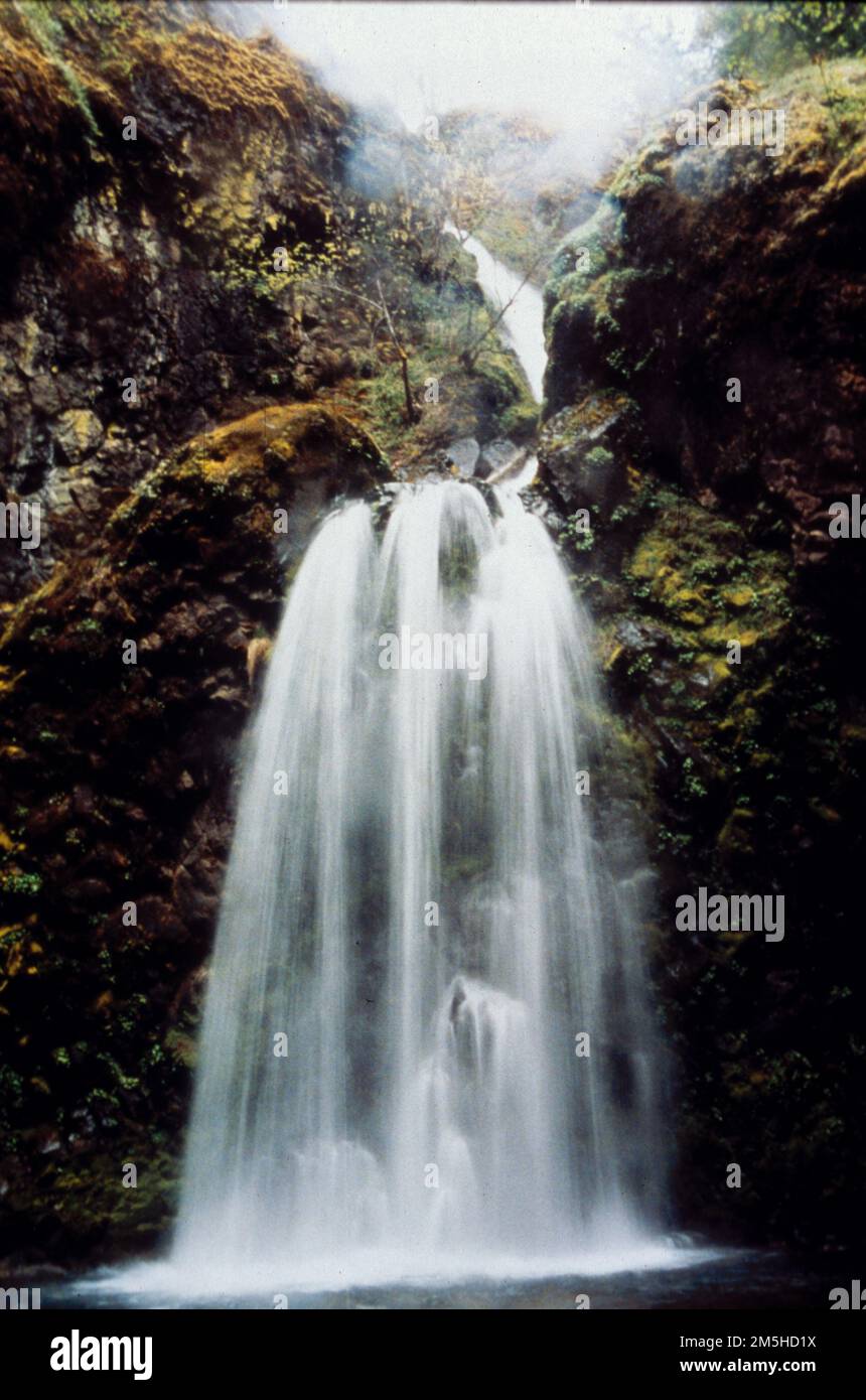 Route panoramique Rogue-Umpqua - chutes Fall Creek. Un sentier de ...