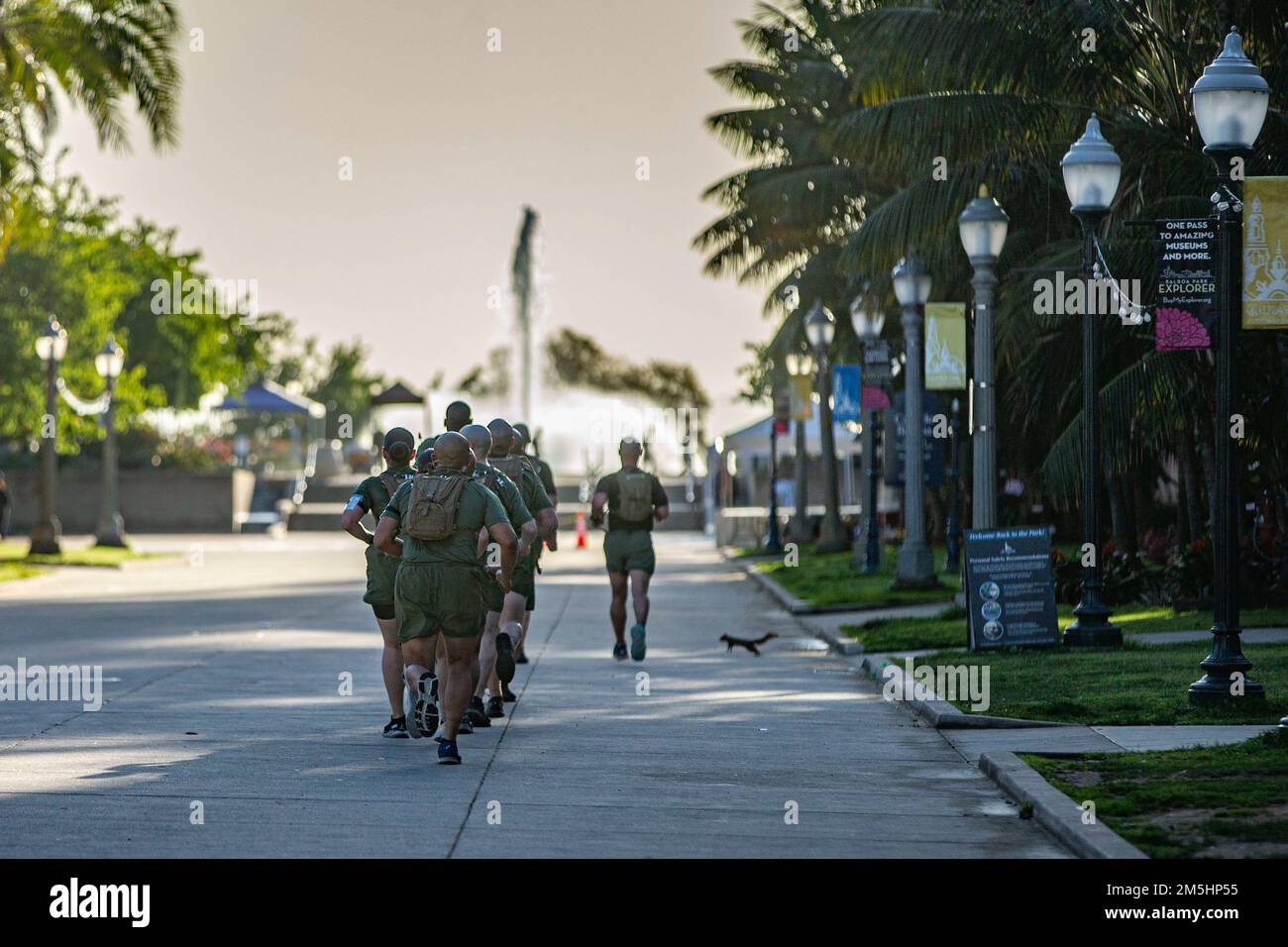 Recruter le commandant de la formation Banque de photographies et d’images à haute résolution ...