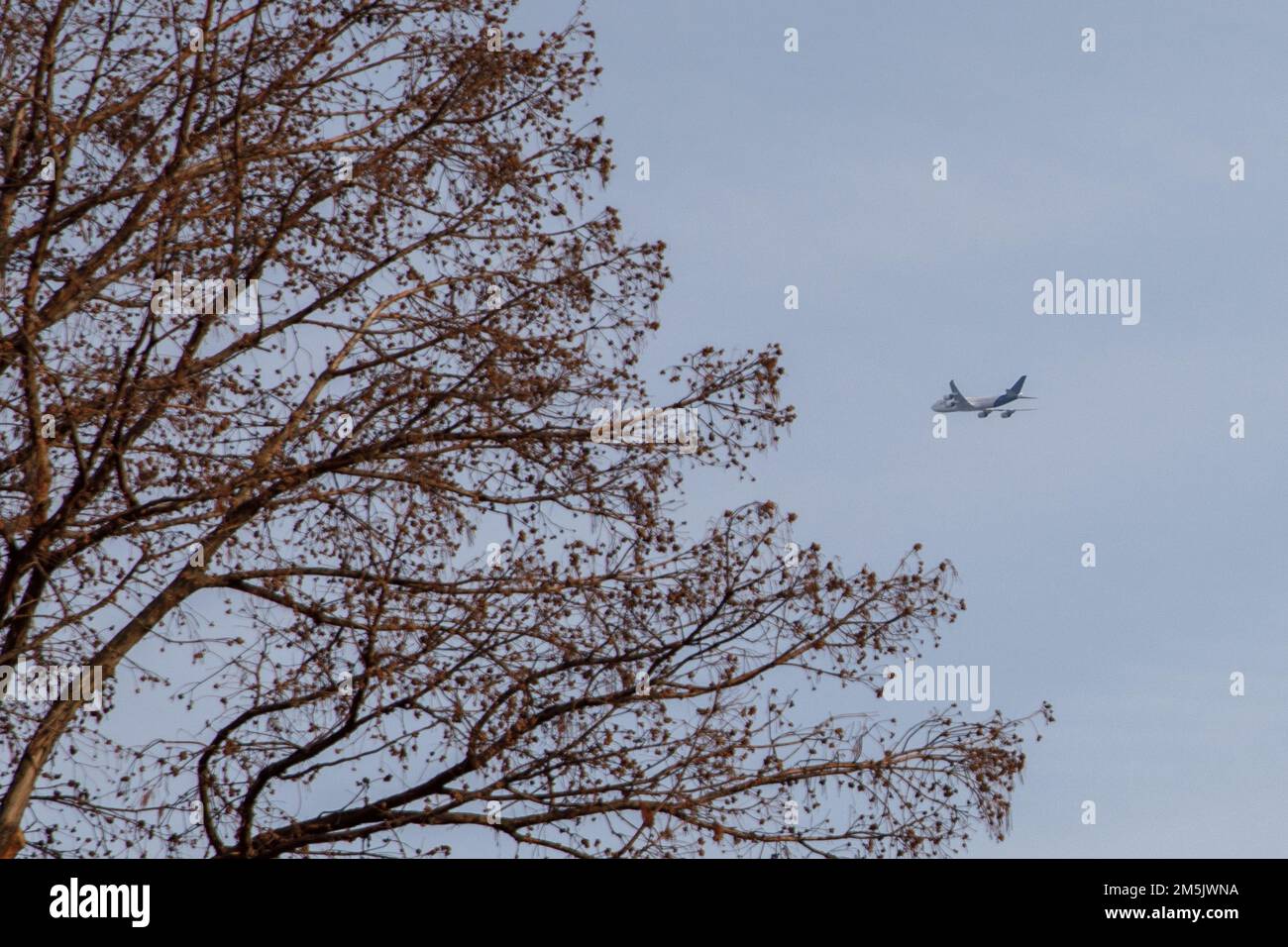 Avion volant au dessus des arbres Banque de photographies et d’images à ...