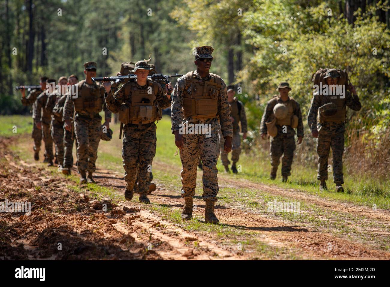 ÉTATS-UNIS Marines avec combat Logistics Regiment 37, 3rd Marine ...