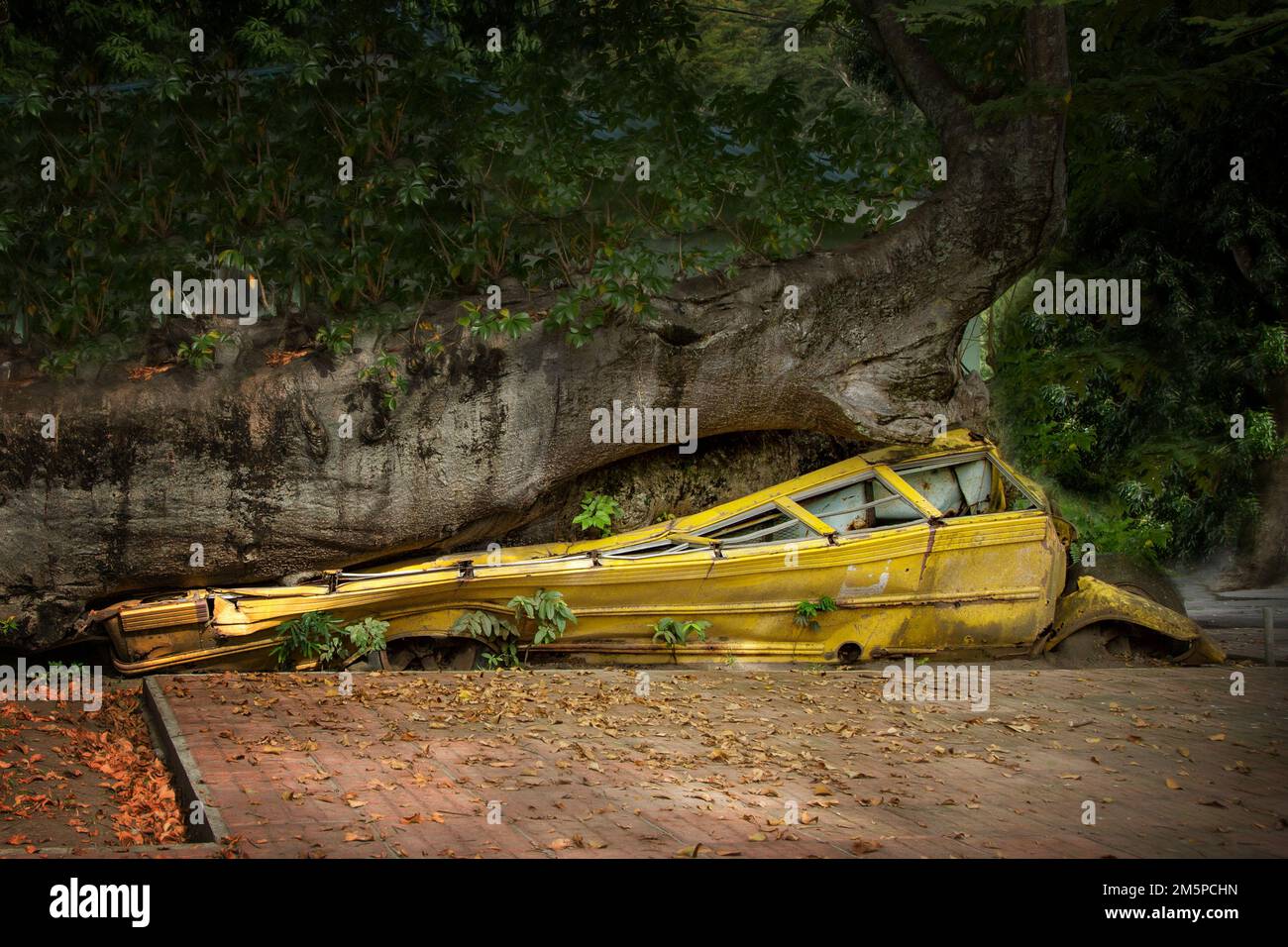 Broken bus Banque de photographies et d’images à haute résolution - Alamy