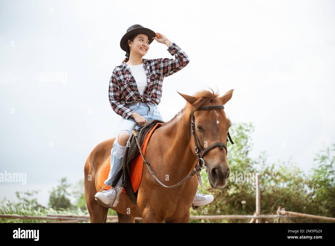 Chapeau de selle de cow boy assis Banque de photographies et d’images à ...