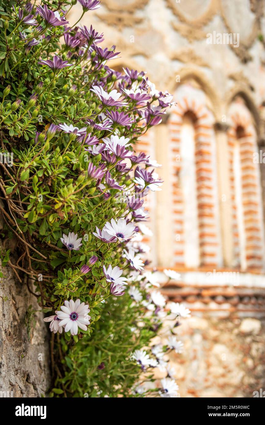 Vue depuis la ville byzantine de Mystras, Grèce. La ville de Mystras ...