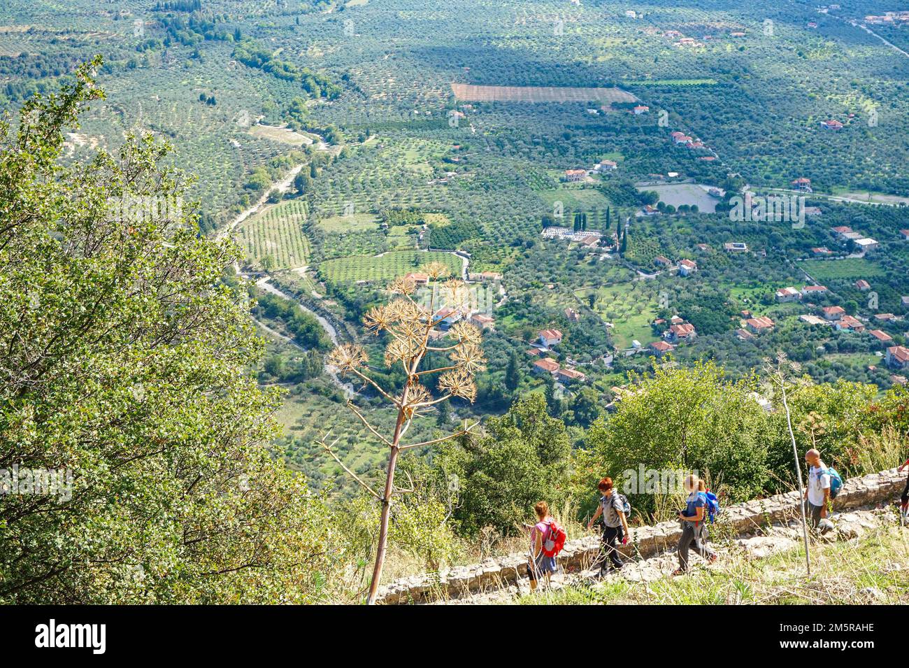 Vue depuis la ville byzantine de Mystras, Grèce. La ville de Mystras ...