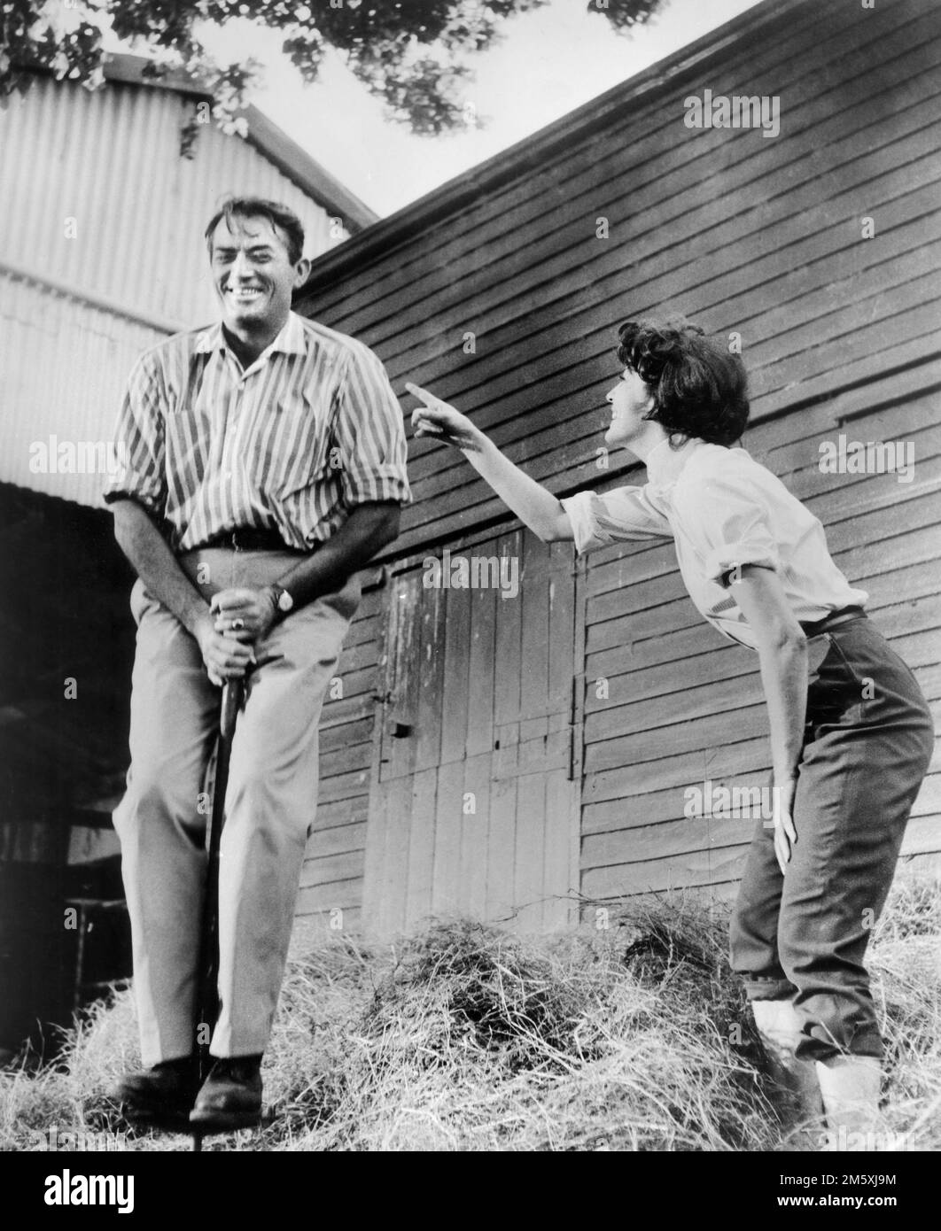 Gregory Peck, Ava Gardner, sur la scène du film, « On the Beach ...