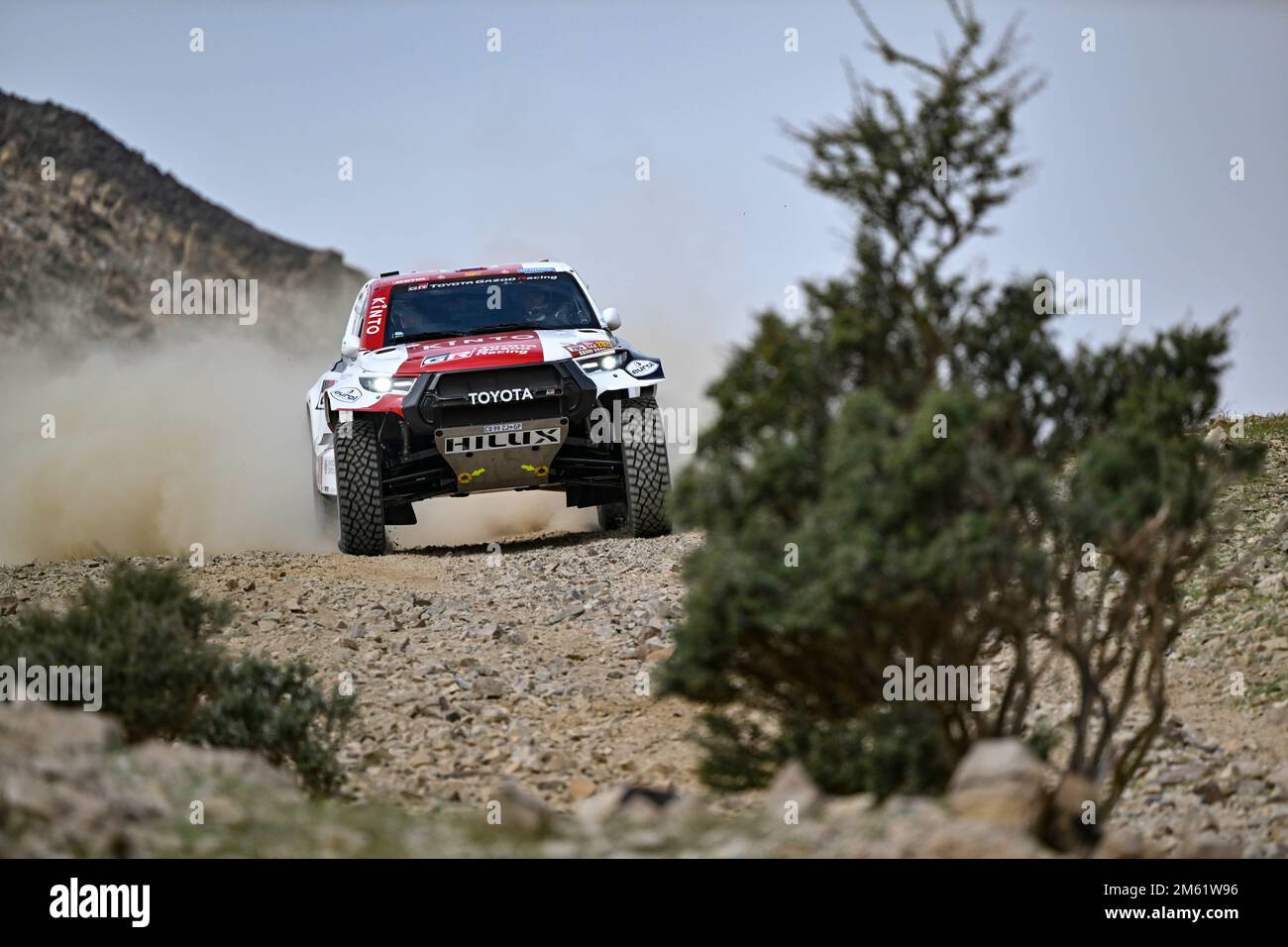205 DE VILLIERS Giniel (zaf), MURPHY Dennis (zaf), Toyota Gazoo Racing ...