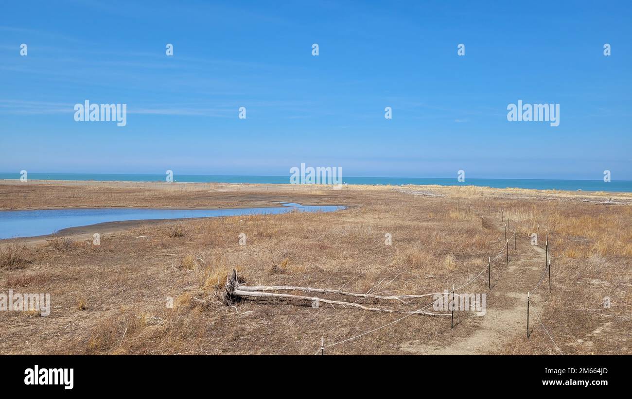 Gull point, un habitat protégé pour les pluviers siffleurs en voie de ...