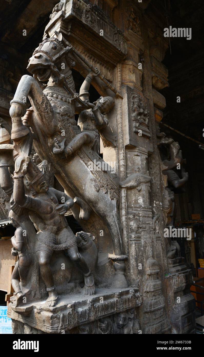Sculptures dans le mandapa aux 1000 piliers Banque de photographies et ...