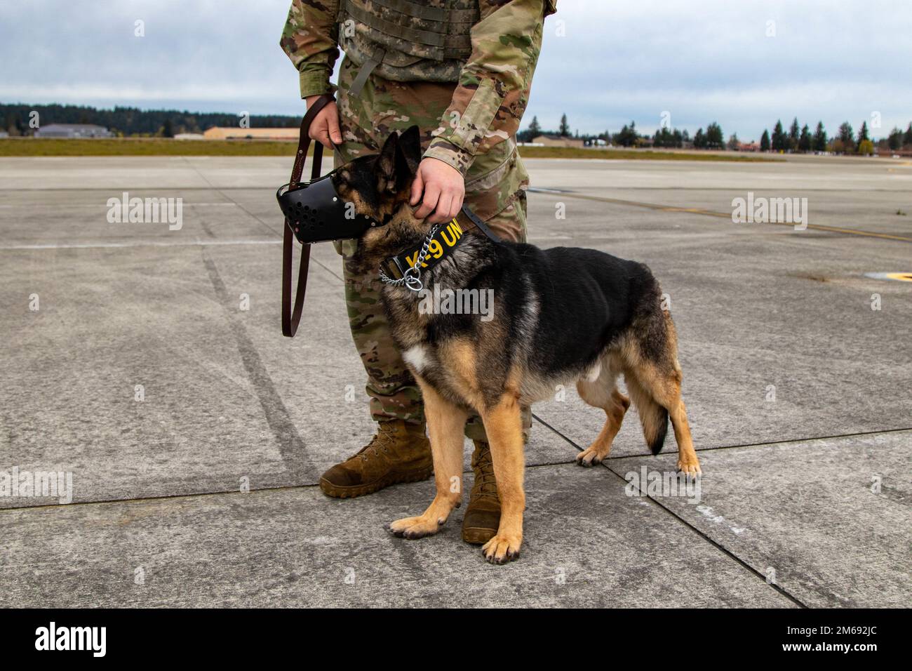 95th military police battalion Banque de photographies et d’images à ...