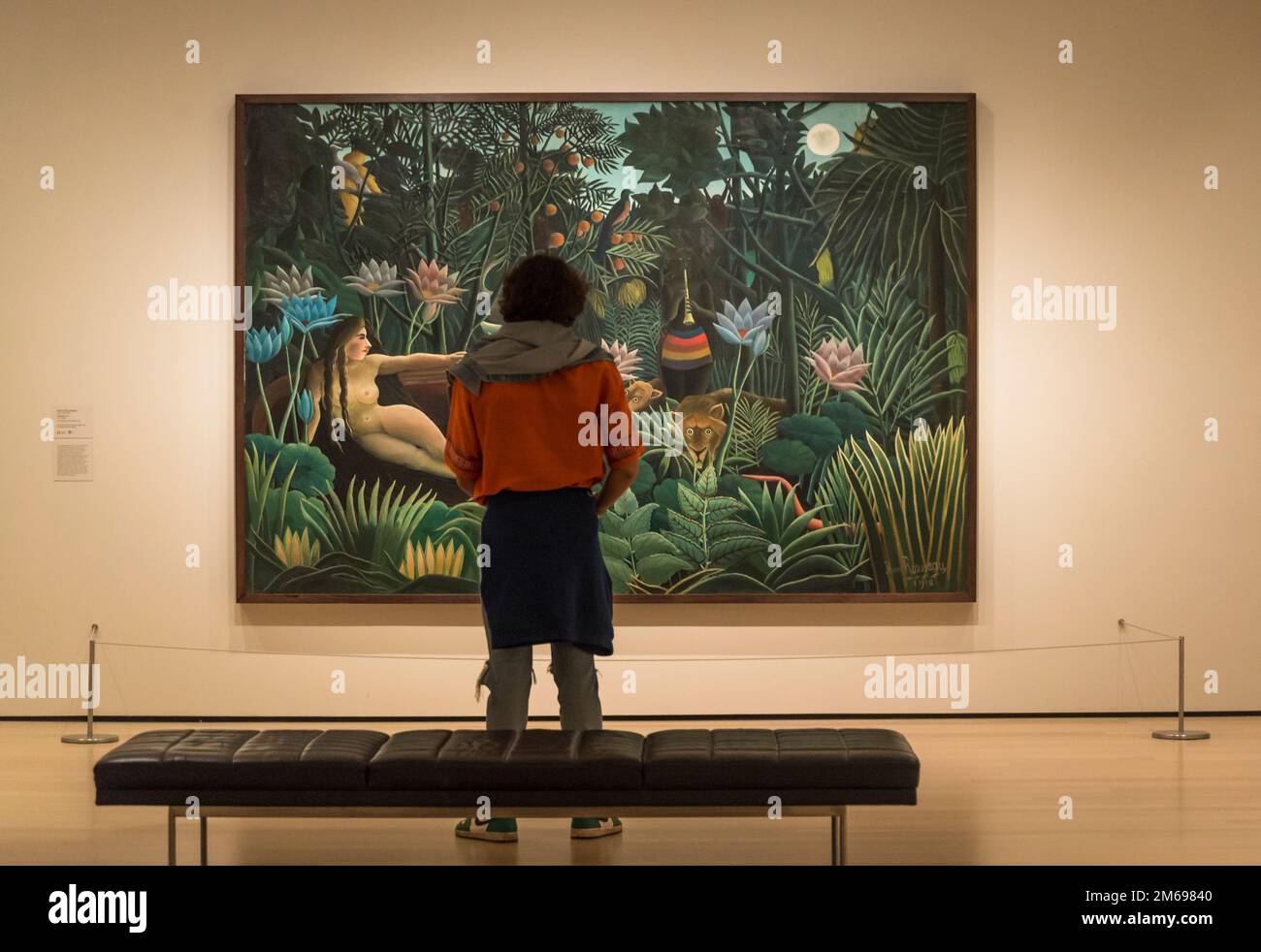 Henri rousseau the dream Banque de photographies et d’images à haute ...