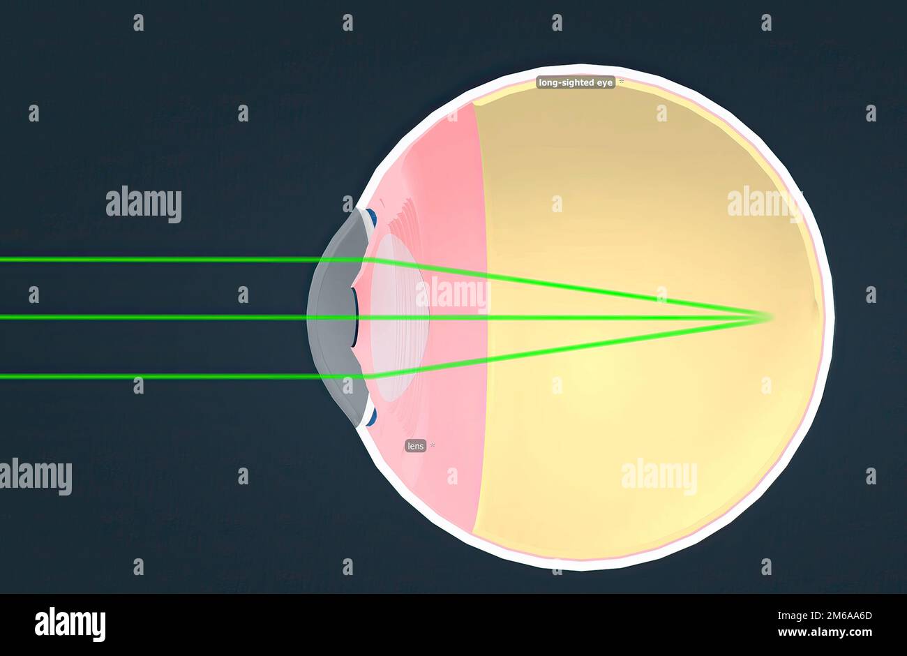 Structure de l'œil humain et anatomie de la vision 3D illustration ...