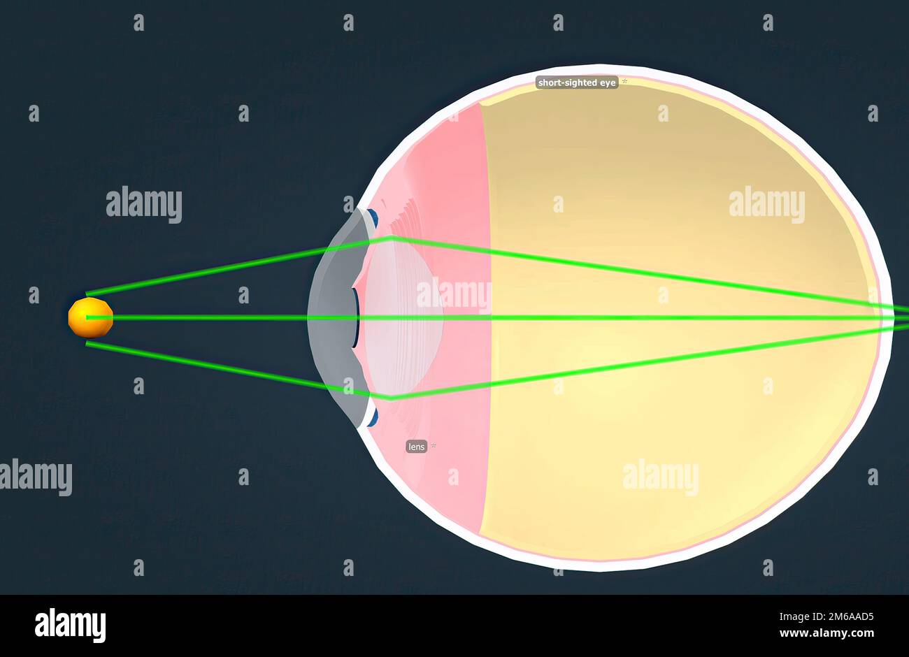 Structure de l'œil humain et anatomie de la vision 3D illustration ...