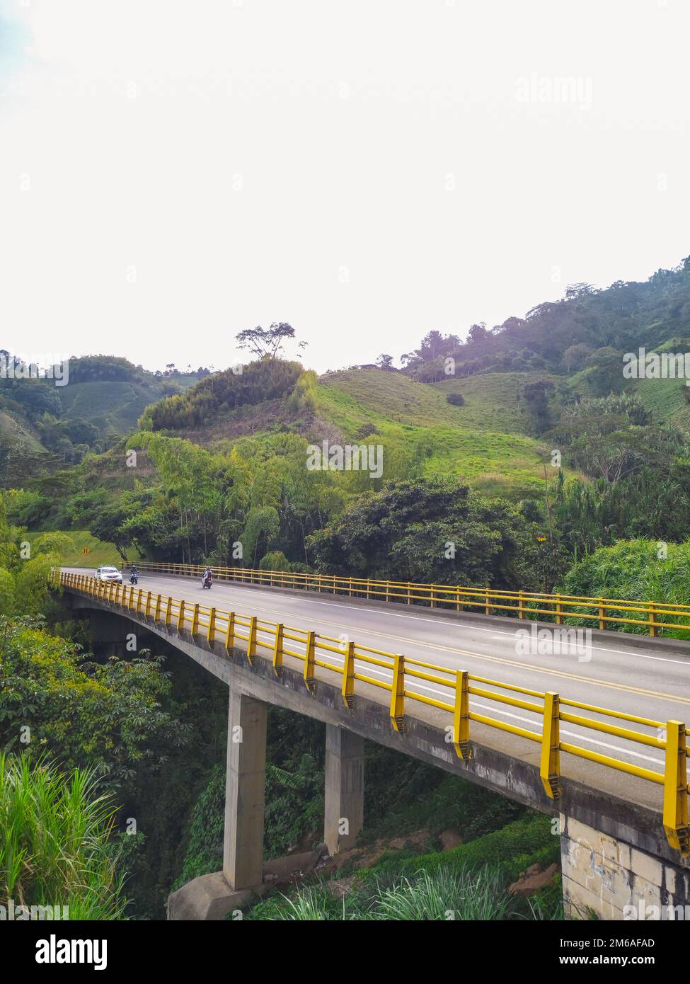 Variante la romelia el pollo Banque de photographies et d’images à ...