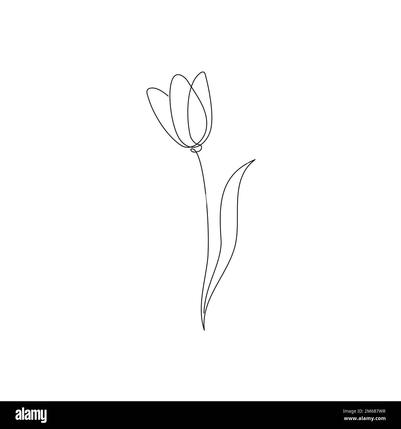 Décoration florale de tulipe Un dessin continu de fleur de tulipe ...