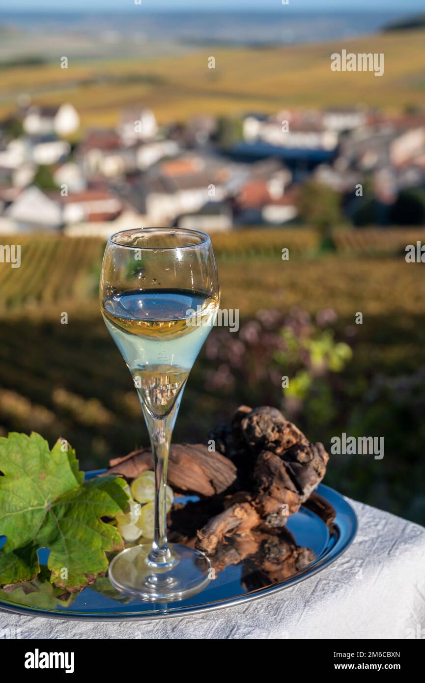 Dégustation de vin blanc mousseux français avec bulles de champagne sur ...