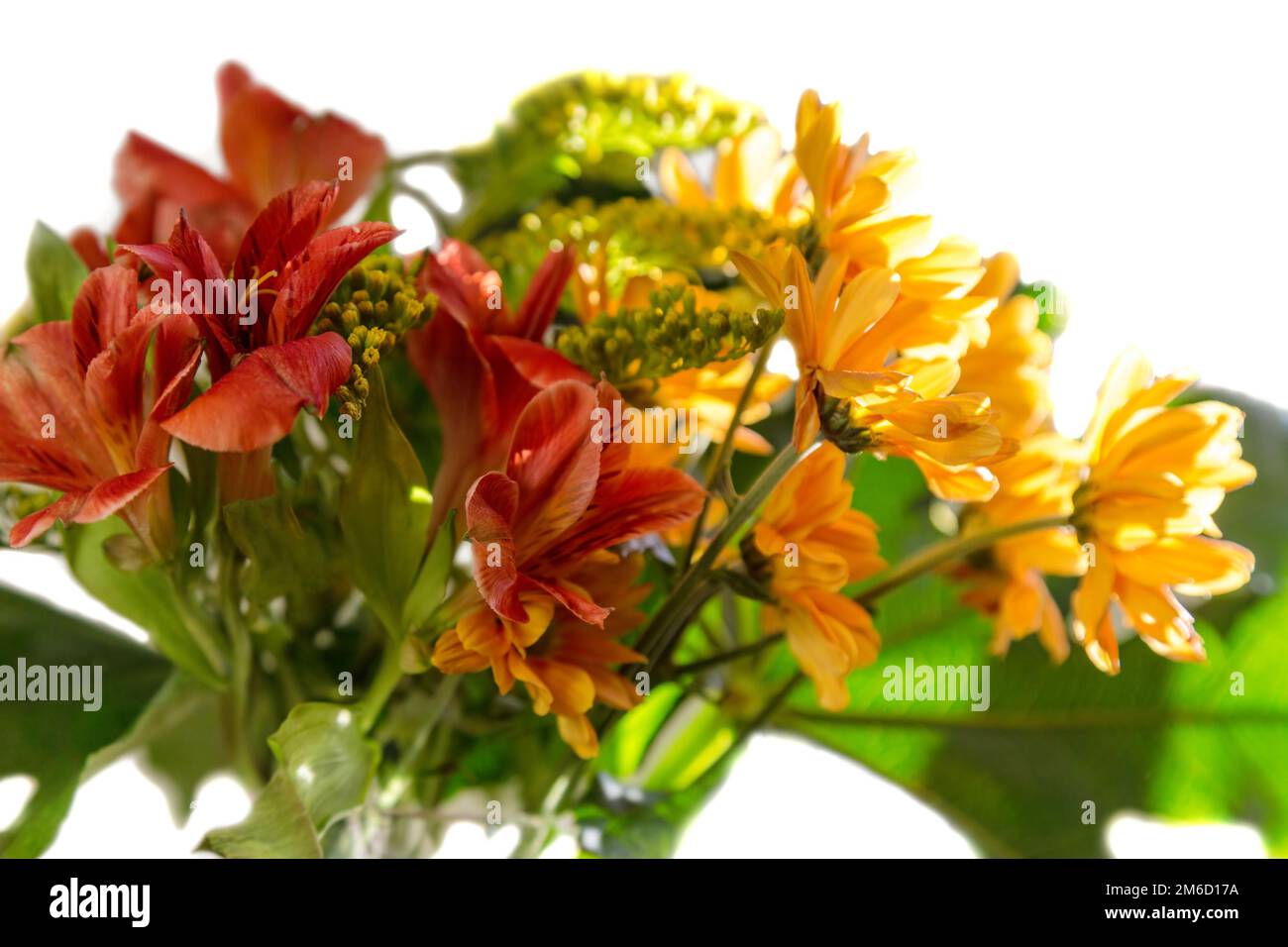 Bouquet de fleurs rouges Banque de photographies et d’images à haute ...