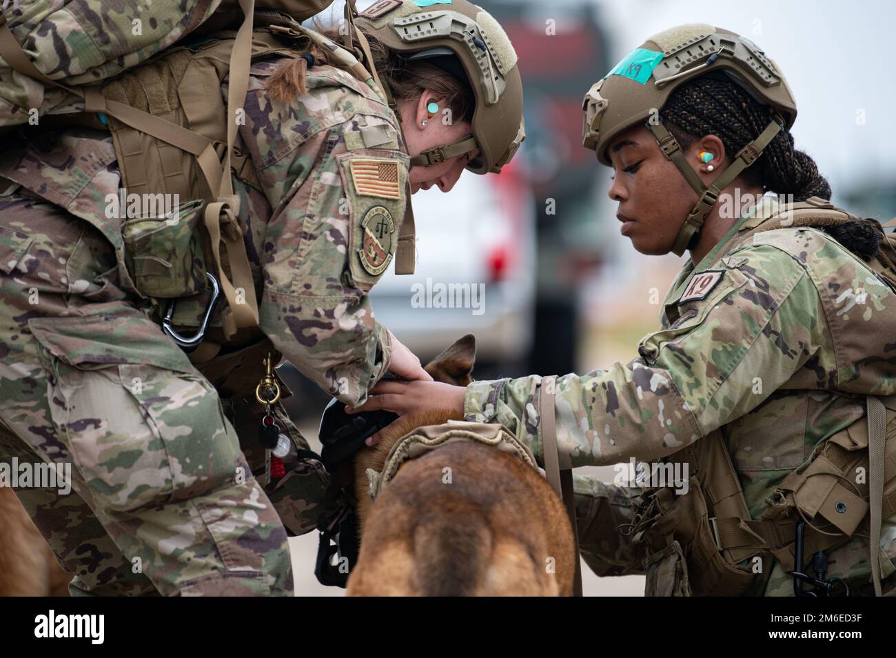 Sergent d’état-major Darby Misner, entraîneur de chien de travail ...