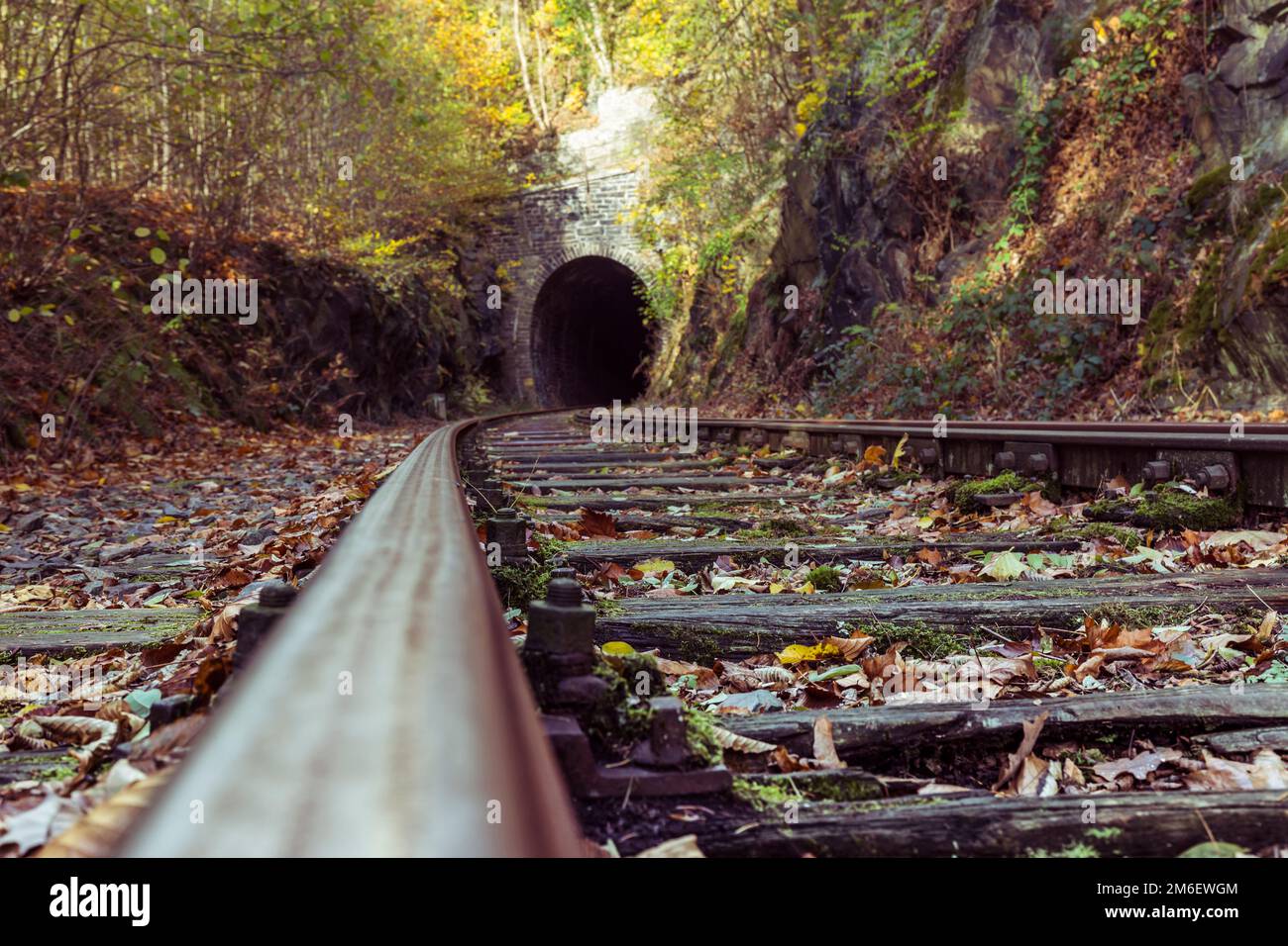 Abandoned railroad tracks Banque de photographies et d’images à haute résolution - Alamy