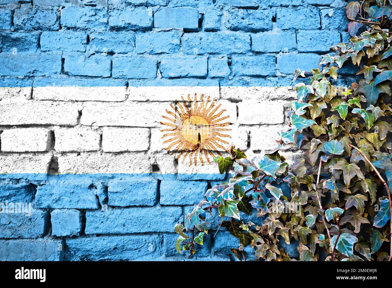 Argenitina grunge drapeau sur mur de brique avec plante ivy, symbole de ...