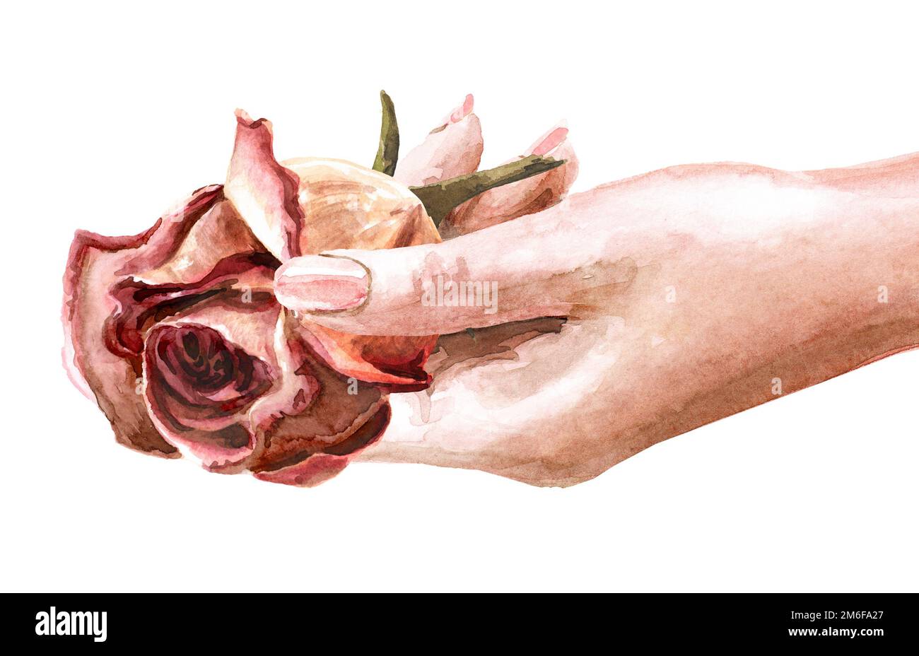 Dessin de fleur faner Banque de photographies et d’images à haute ...