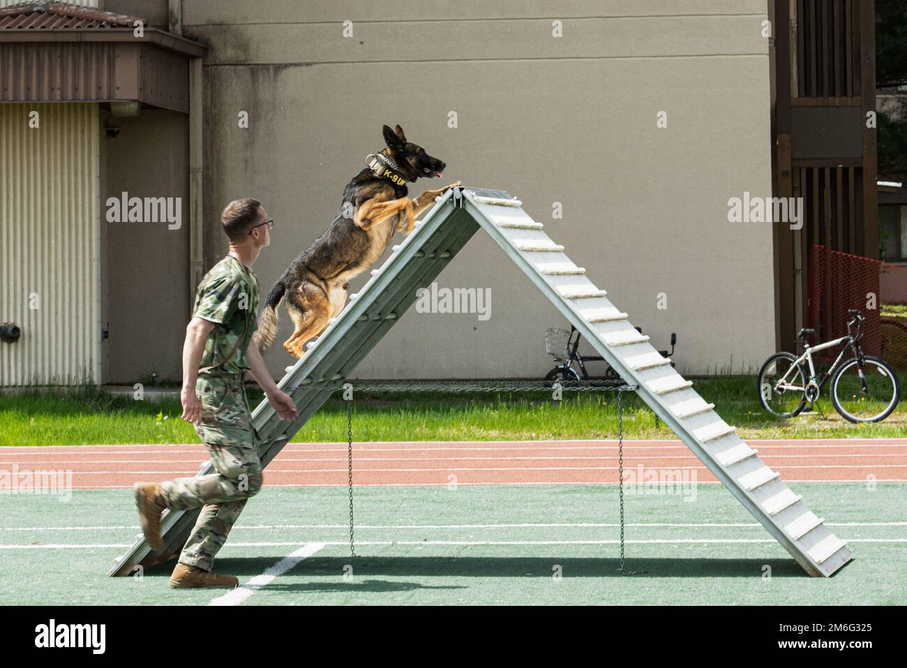 L'ancien Airman Colton Gabriel, le maître-chien militaire de l'escadron ...