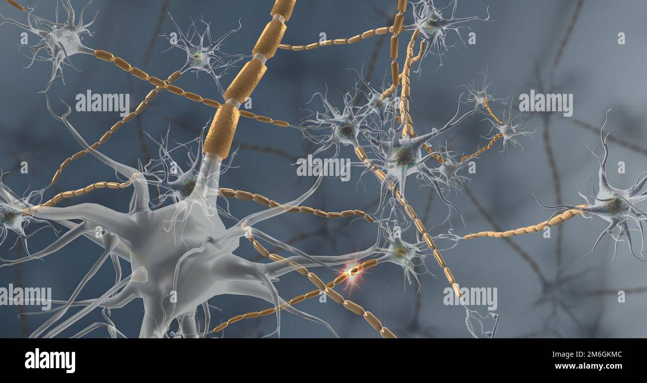 Tissu nerveux Banque de photographies et d’images à haute résolution ...