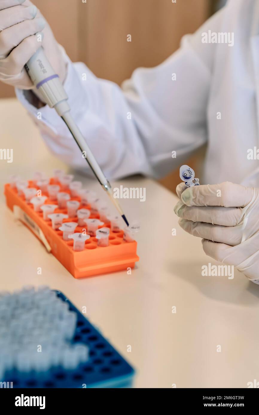 Micropipette laboratory for dna analysis Banque de photographies et d ...