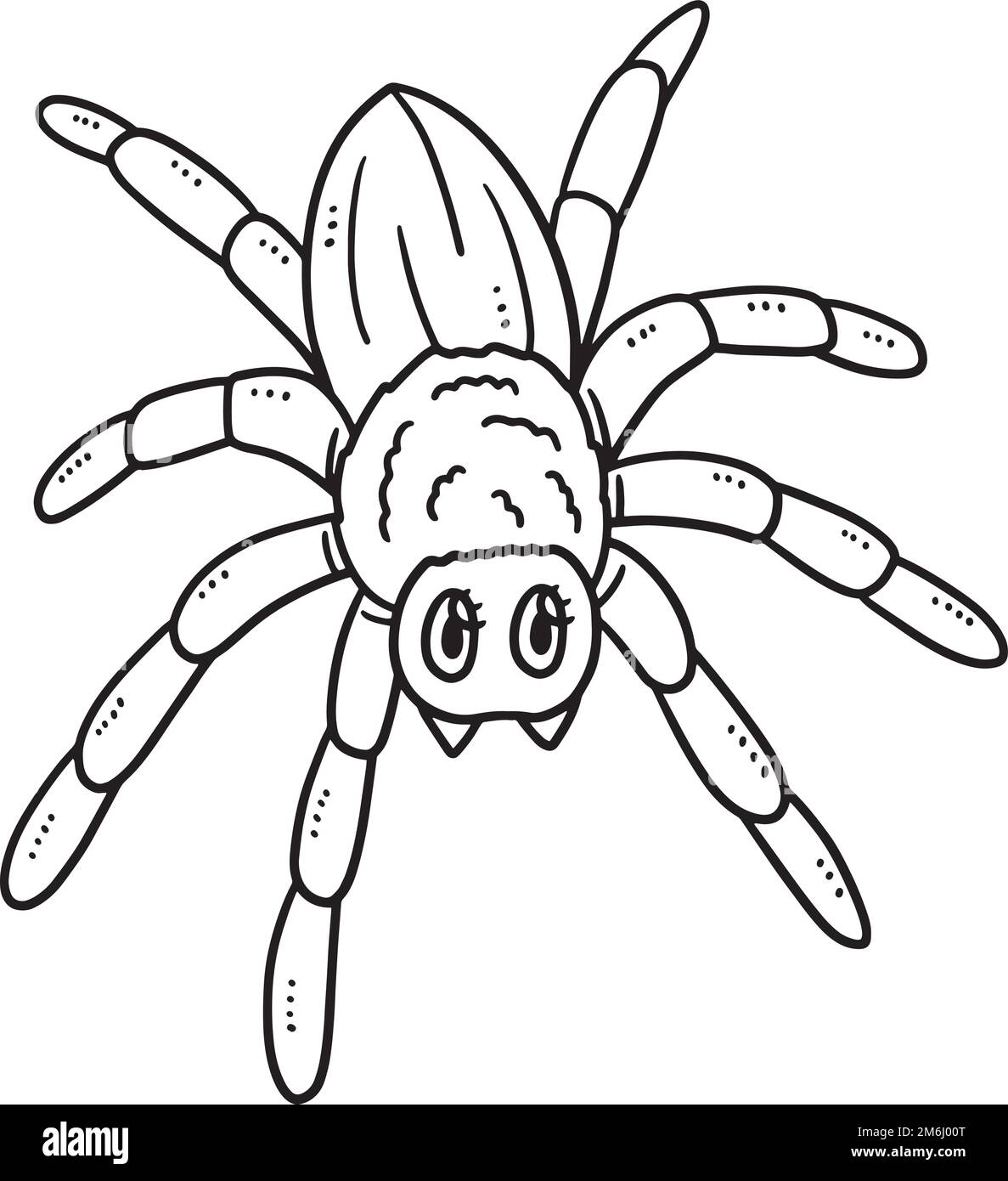 Page de coloriage isolée pour mère Spider pour enfants Image ...
