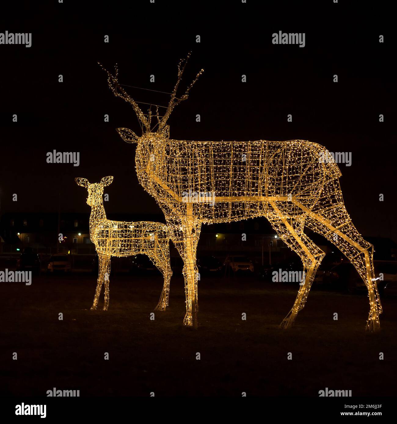 Glowing deer Banque de photographies et d’images à haute résolution - Alamy