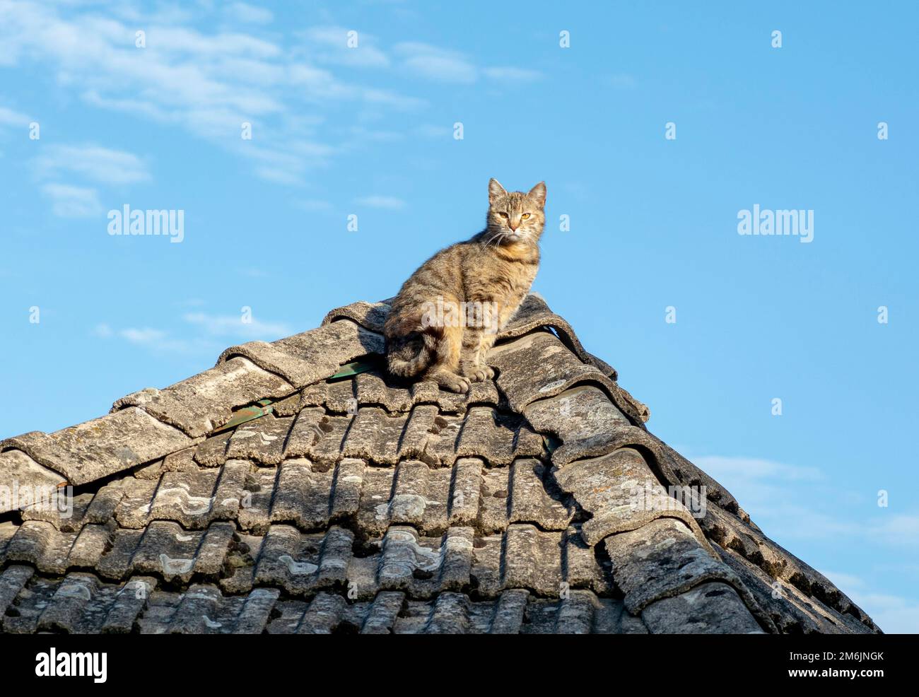 Vue de dessus sur un toit avec des tuiles Banque de photographies et d ...