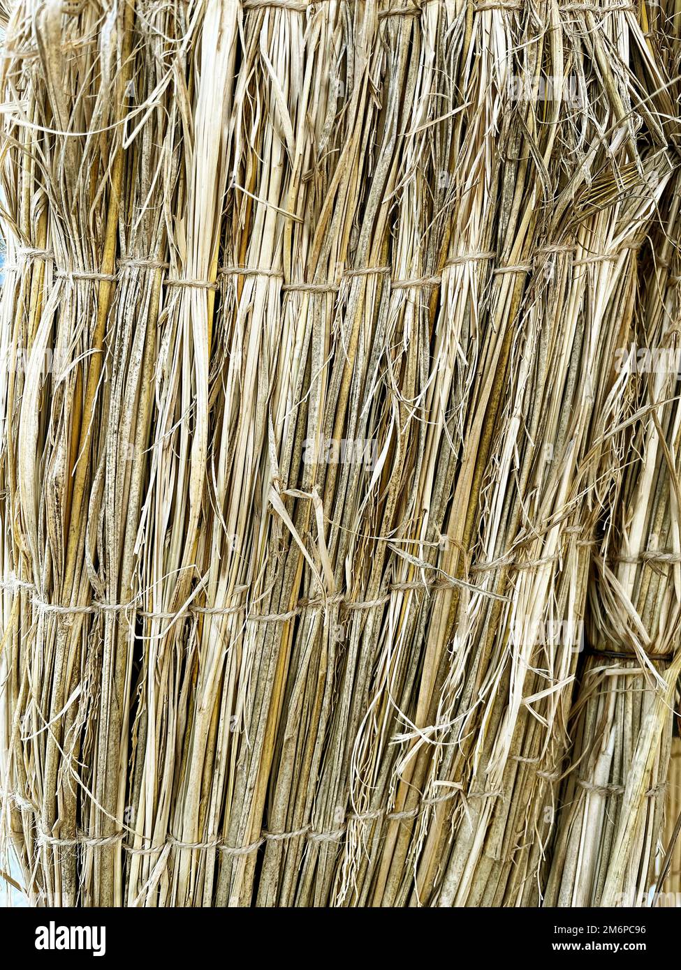 Texture de chaume Banque de photographies et d’images à haute ...