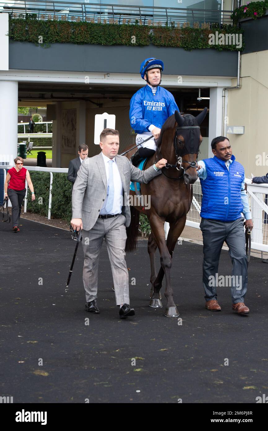 Ascot, Berkshire, Royaume-Uni. 1st octobre 2022. Le cheval Al Suhail ...